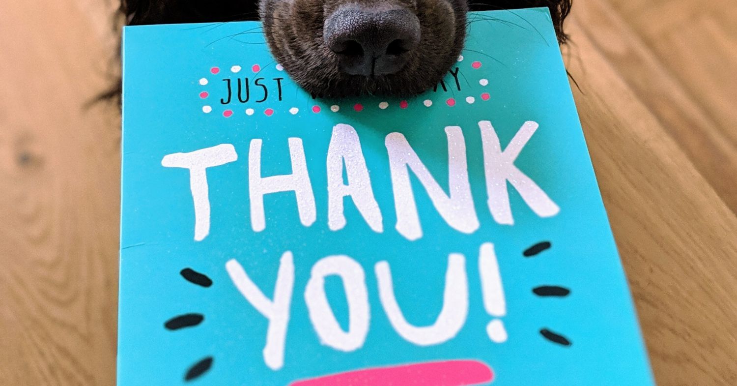 4 Tips to Make Your Thank You Notes Stand Out