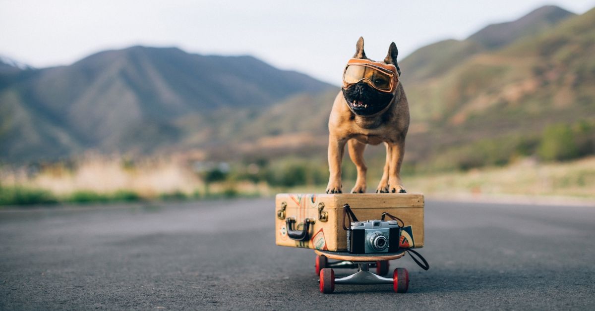 Let’s Illuminate the Key Differences Between the Nonprofit and For ...